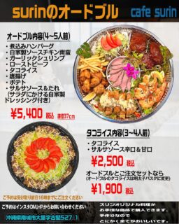 Surin | 沖縄 サーバルキャットに会えるカフェ